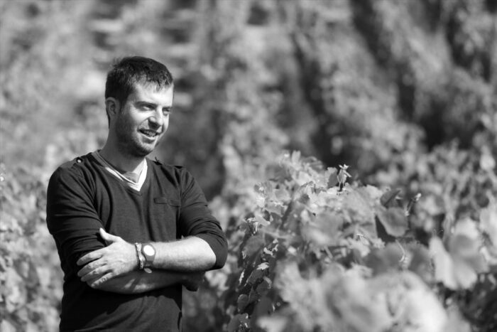 Field Blend | Thomas Pico